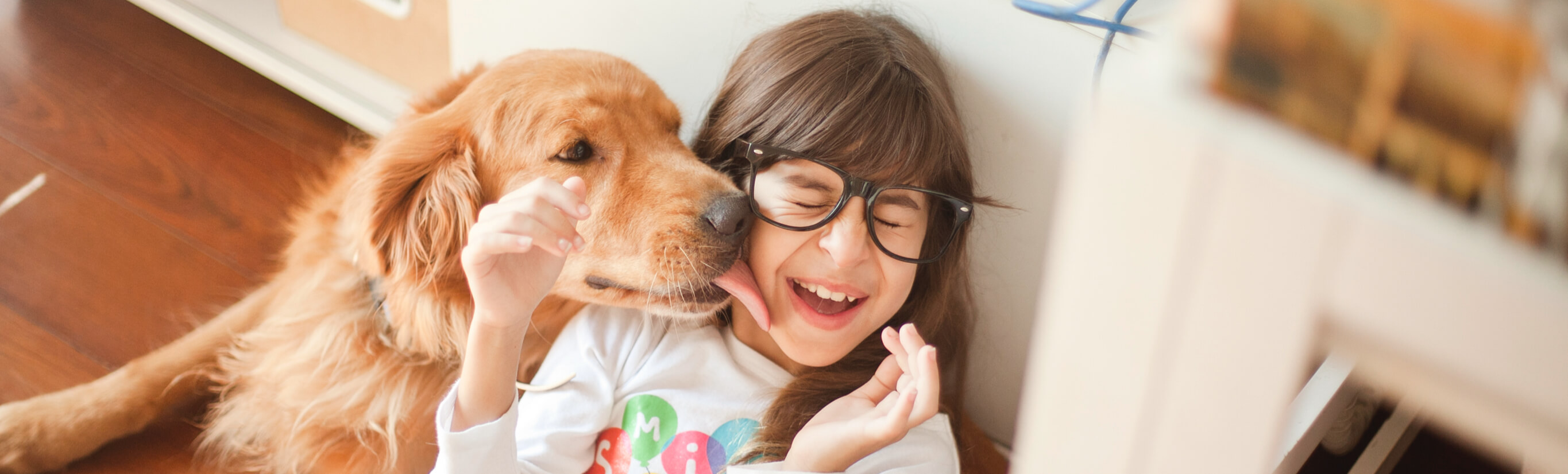 Eligibility and Enrollment | Wellpoint Maryland Medicaid